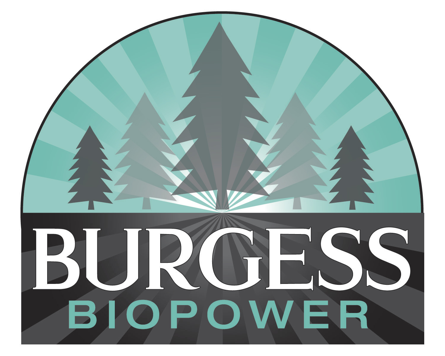 Applied Business Strategies Named Burgess Biopower Restructuring ...